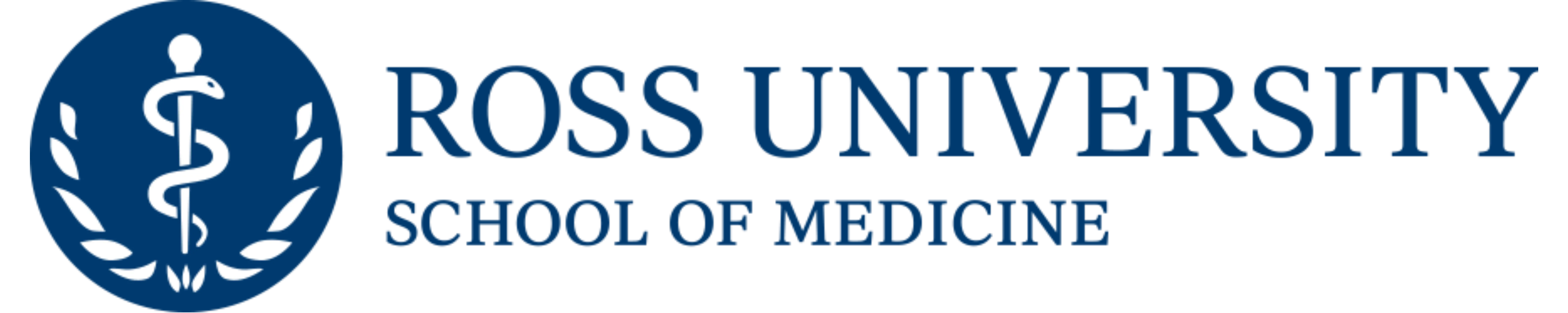 LearnWise | AI Student Support | Higher Education | Better Than a Chatbot